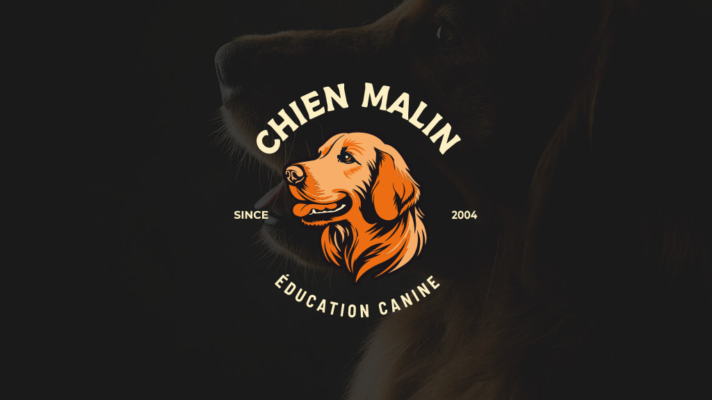 Chien malin | Éducation et comportementalisme canin dans le Puy-de-Dôme